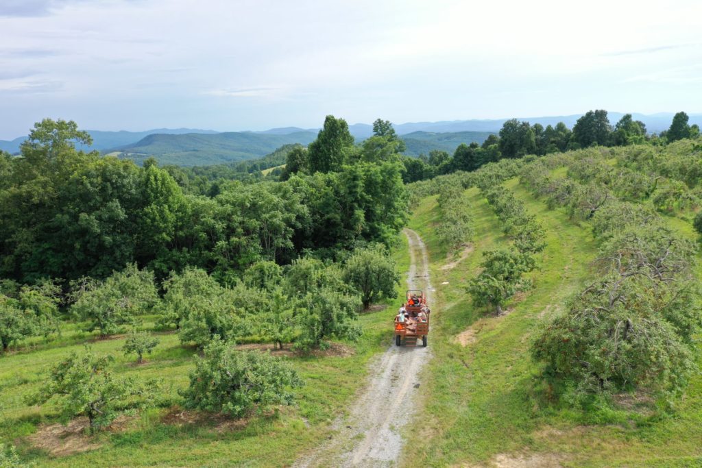 Scenic Mountain Hayride | Black Bear Snow Tubing